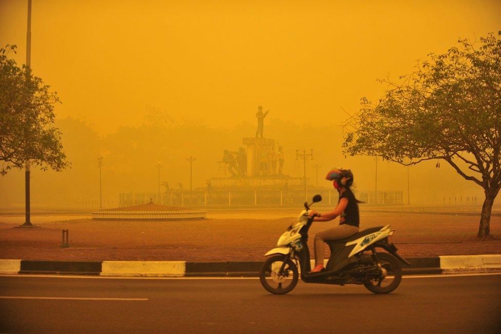 The Yellow Haze: A Silent Crisis in South Asia and the Role of Wasted ...